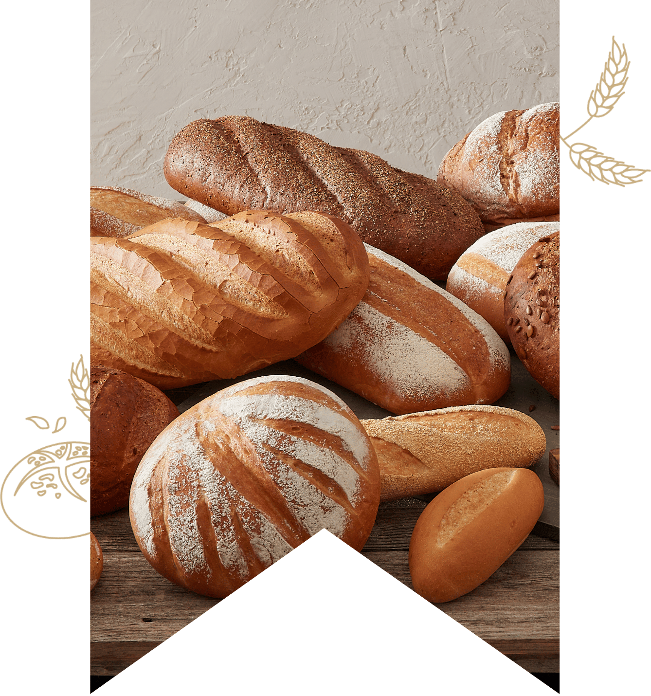 Gonnella Customer Support | Gonnella Baking Co.
